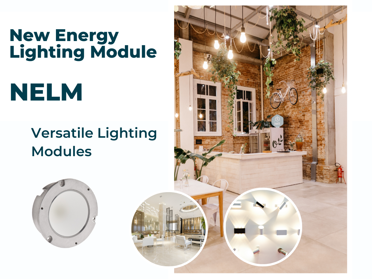 New Energy Lighting Module (NELM) - NewEnergy